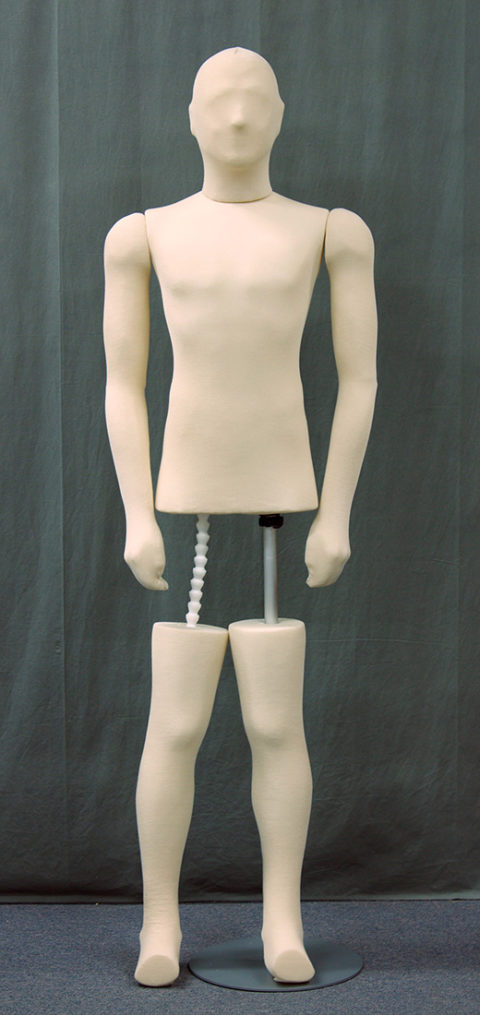 Conservation Forms Gallery | Dorfman Museum Figures